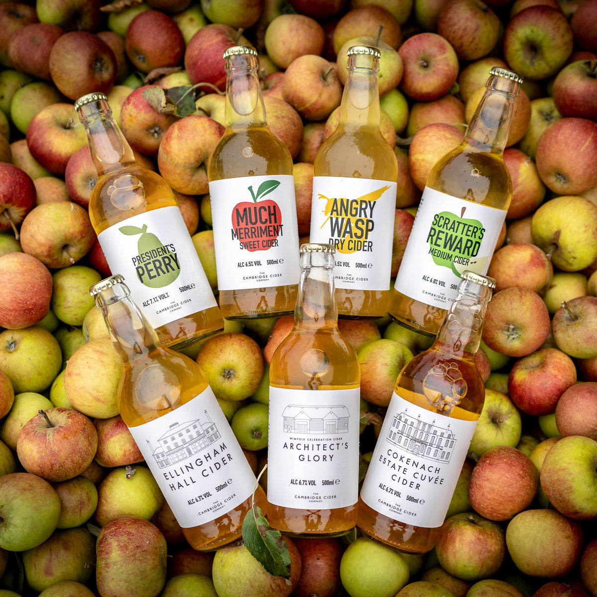 Bottled Cider – The Cambridge Cider Company Ltd